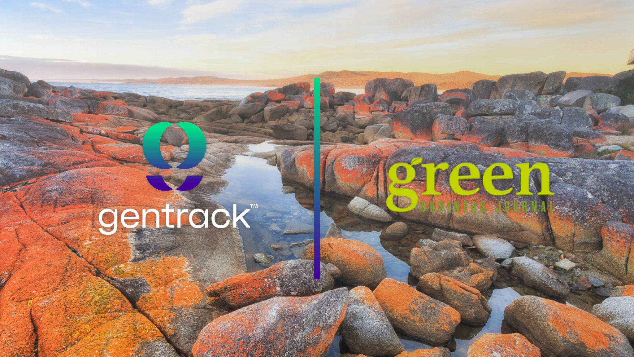 Gentrack | News