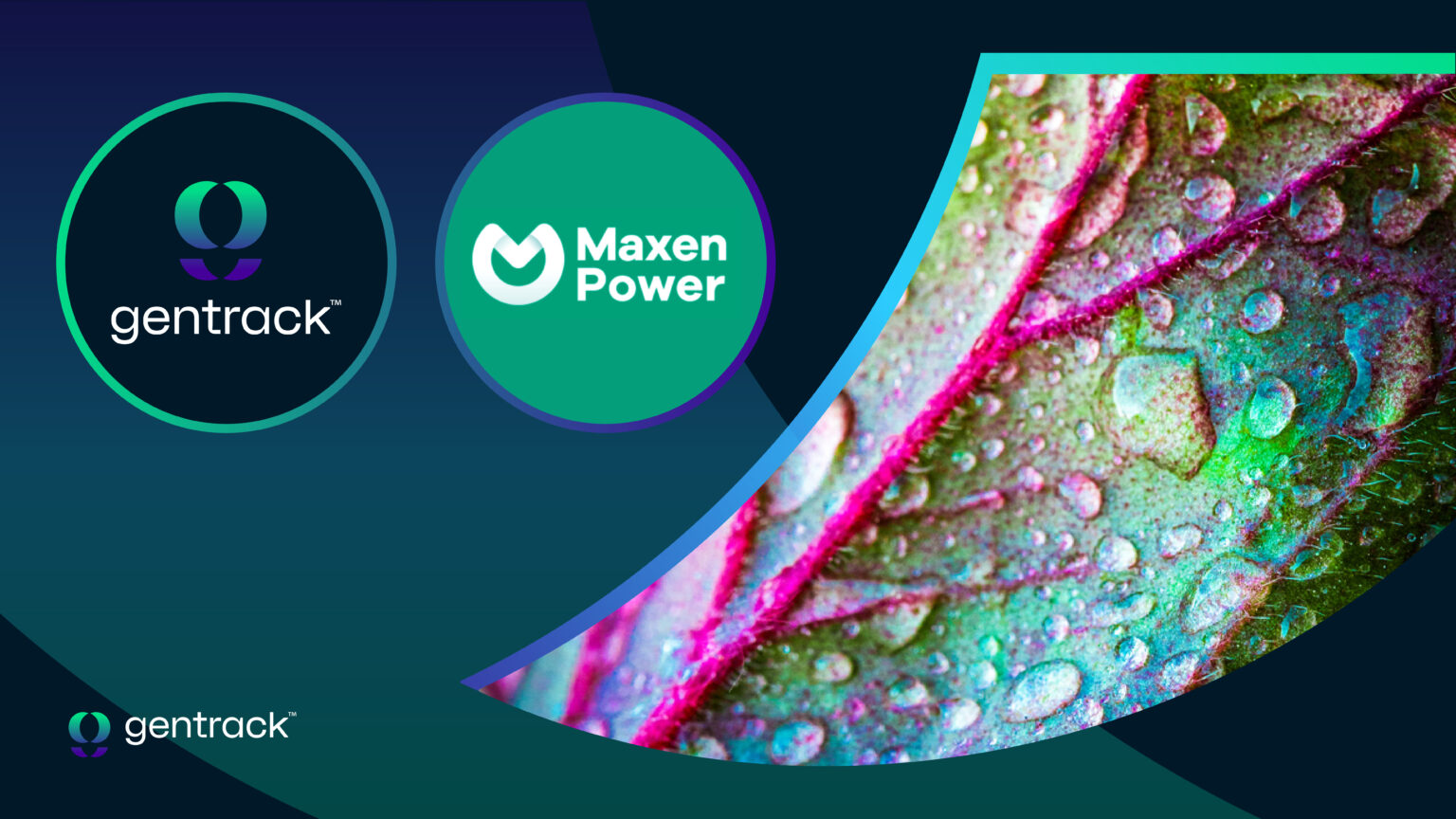 Gentrack | Gentrack extends partnership with growing specialist B2B ...